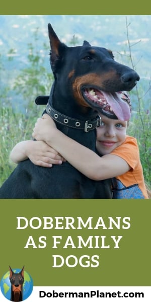 Are Dobermans Good Family Dogs? The Surprising Truth – Doberman Planet