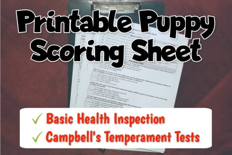 Printable Puppy Scoring Sheet - Doberman Planet