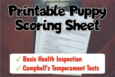 Printable Puppy Scoring Sheet - Doberman Planet