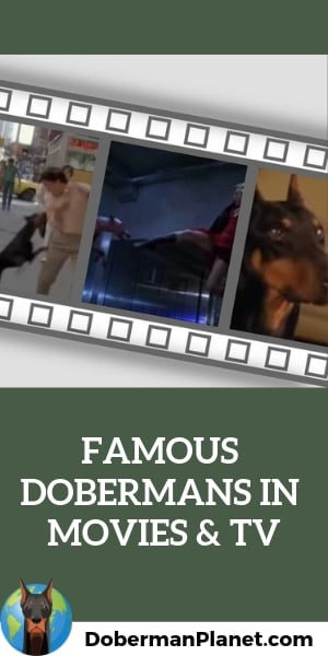 Famous Dobermans in Movies and Television: The Complete List – Doberman ...