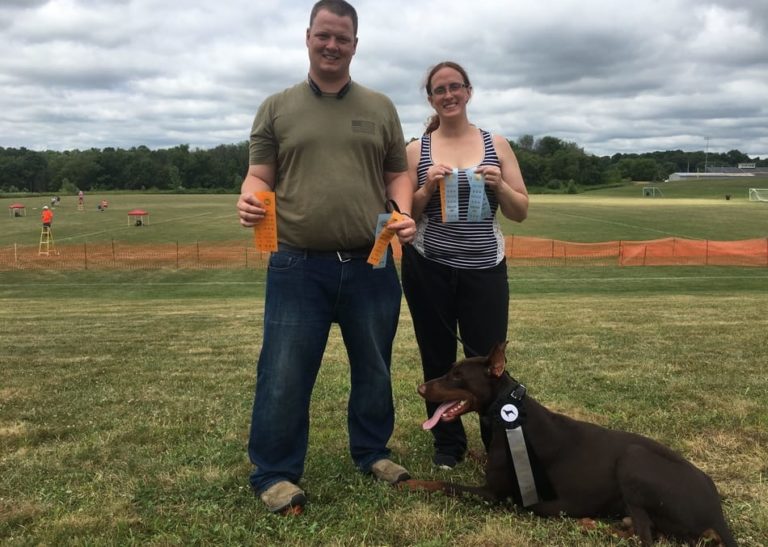 How Fast Can a Doberman Run? 6 Speed Clocked Dobermans – Doberman Planet