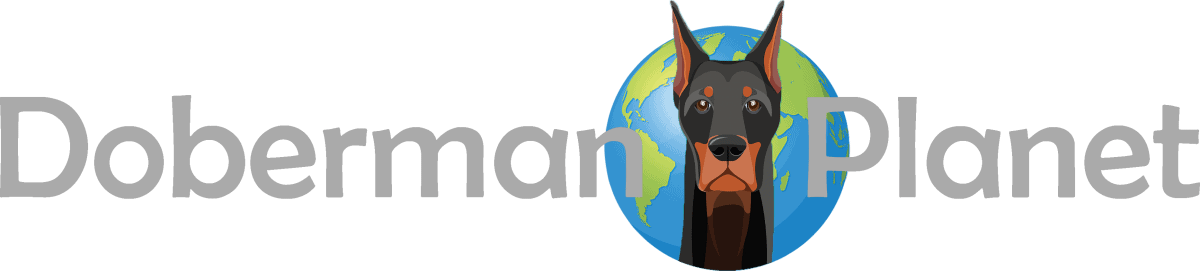How Much to Feed a Doberman: A Complete Feeding Guide – Doberman Planet